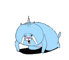 ehcat GIFs on GIPHY - Be Animated