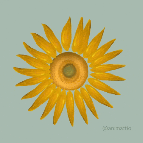 Light Yellow Flower GIFs - Get the best GIF on GIPHY