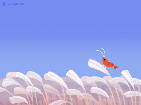 Cherry Shrimp GIFs - Get the best GIF on GIPHY