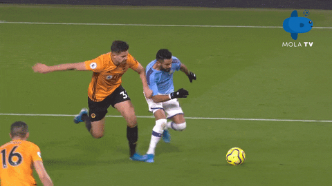 Wolves Penalty GIF by MolaTV - Find & Share on GIPHY