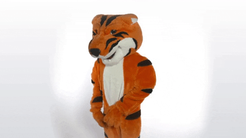 RITchie GIFS by Rochester Institute of Technology | GIPHY
