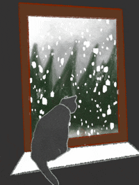 Snow Falling Window Gif