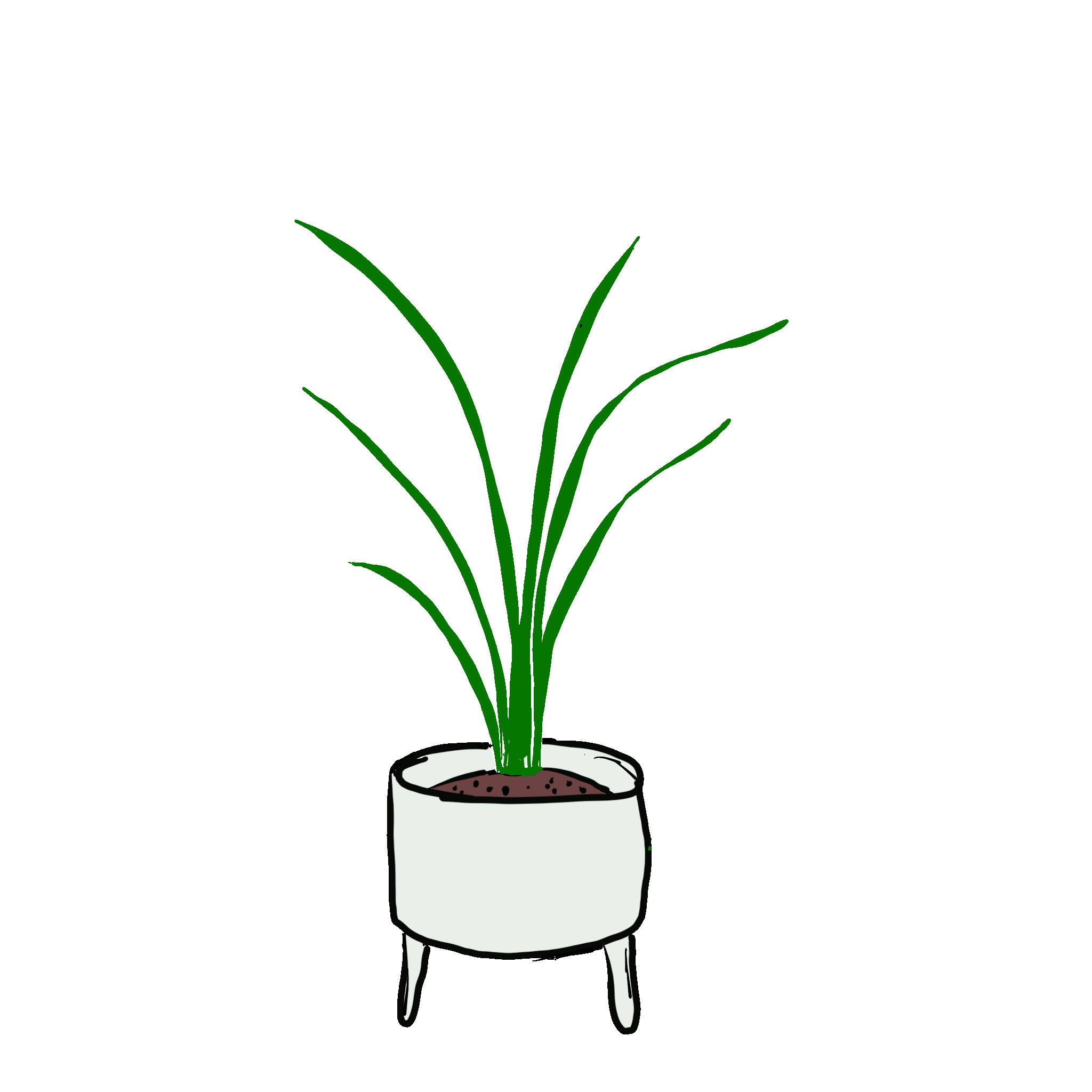 Plant Greenery Sticker by feierSun for iOS & Android | GIPHY