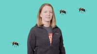 Bees Arrested Development Gif