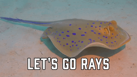 Go Rays GIFs - Get the best GIF on GIPHY