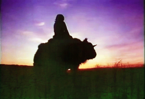 Buffalo Rider GIFs - Get the best GIF on GIPHY