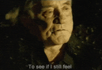 Gifs De Walder Frey