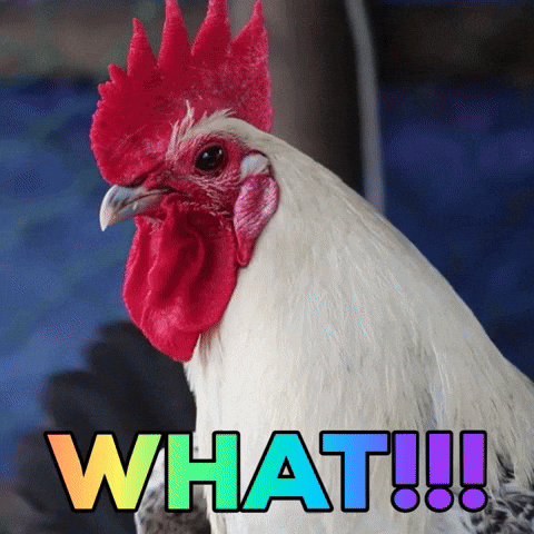 What The F GIFs - Find & Share on GIPHY