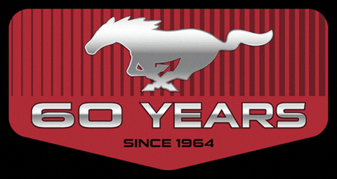 Ford Brasil GIFs on GIPHY - Be Animated