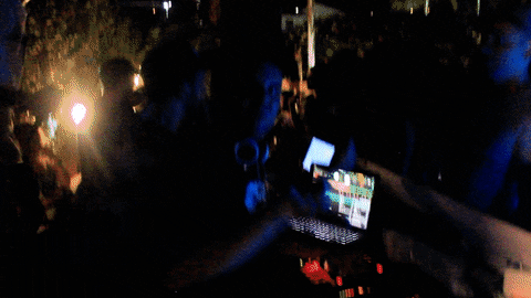 Wildcat Sound GIFs - Get the best GIF on GIPHY