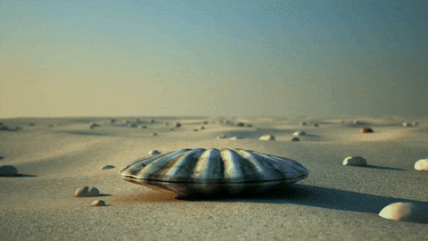 Seashell Girl GIFs - Find & Share on GIPHY