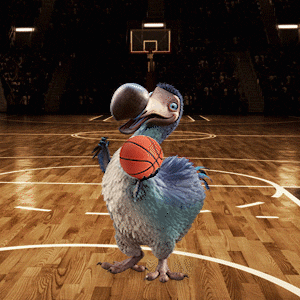 Basketball Bball GIF by Dodo Australia - Find & Share on GIPHY