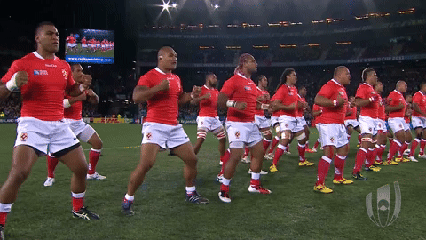 Tonga Rugby Sport GIF by Rugby World Cup - Find & Share on GIPHY