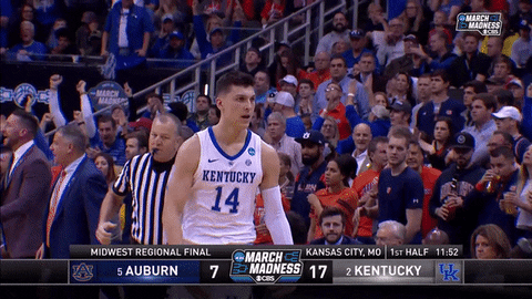 March Madness Celebrations GIFs - Get the best GIF on GIPHY