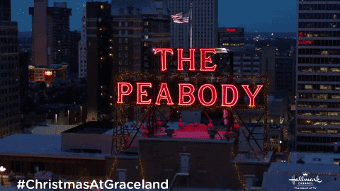 The-peabody GIFs - Get the best GIF on GIPHY