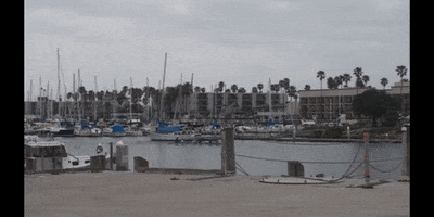 The Environment GIFs on GIPHY - Be Animated