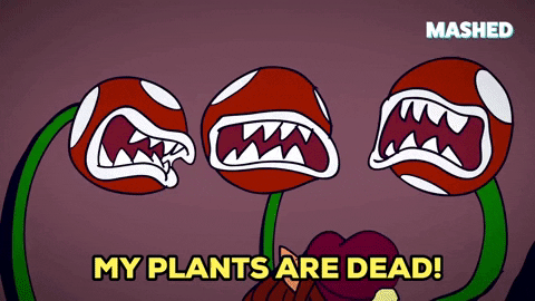 Dead Plants GIFs - Get the best GIF on GIPHY