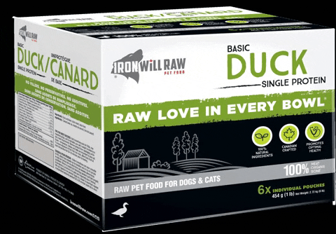 Cat-duck GIFs - Get the best GIF on GIPHY