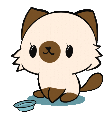 Hungry Cat Sticker for iOS & Android | GIPHY