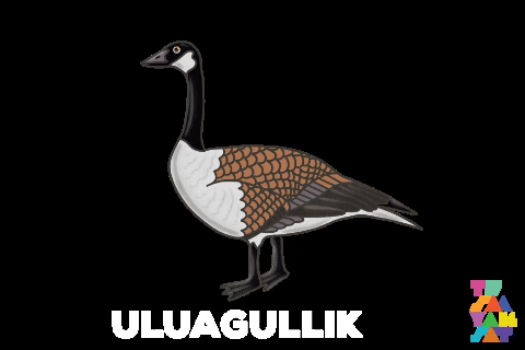 Canadian Goose Cartoon