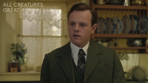 Channel 5 Ok GIF by All Creatures Great And Small - Find & Share on GIPHY
