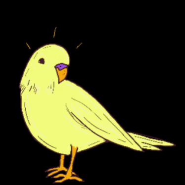 Yellowbird GIFs - Get the best GIF on GIPHY