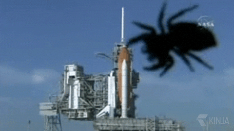 Attaaaaaaaack GIFs - Get the best GIF on GIPHY