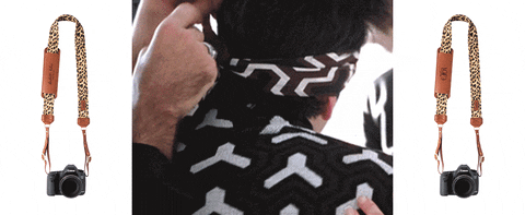 Fotostrap GIFs on GIPHY - Be Animated