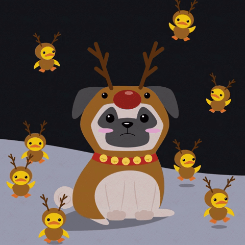 Holiday Pug GIFs - Get the best GIF on GIPHY