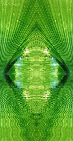 Palmleaves GIFs - Get the best GIF on GIPHY