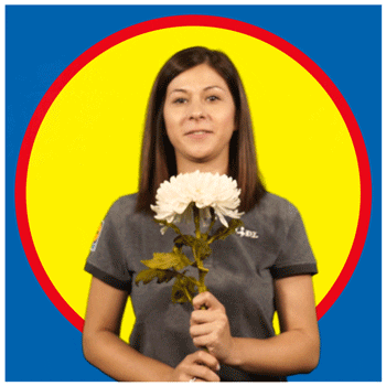 Lidl Hellas GIF - Find & Share on GIPHY