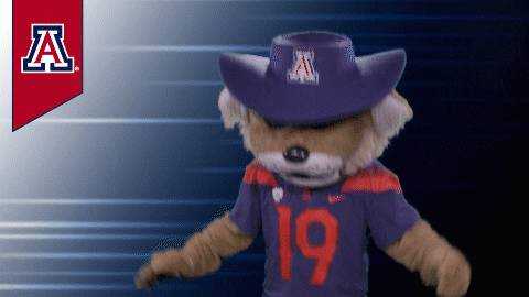 University Of Arizona GIF by College Colors Day - Find & Share on GIPHY