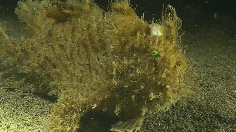 We Are Water Films GIF - Find & Share on GIPHY