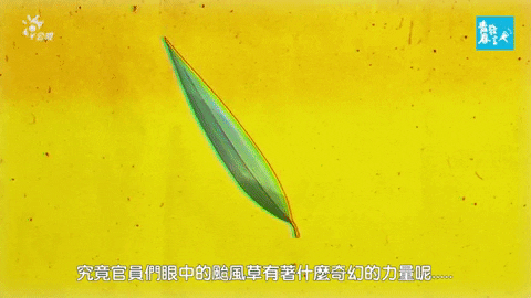 Weed-tw GIFs - Get the best GIF on GIPHY