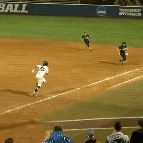 Softball Utc GIF by Chattanooga Mocs - Find & Share on GIPHY