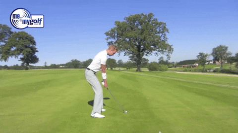 Golfcourse GIFs - Get the best GIF on GIPHY