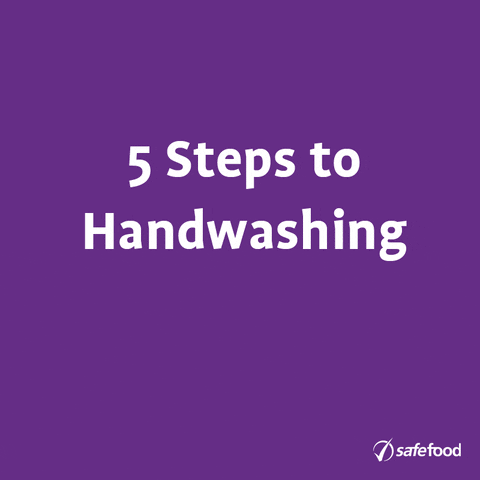 Wash Hands Hand GIF by safefood - Find & Share on GIPHY