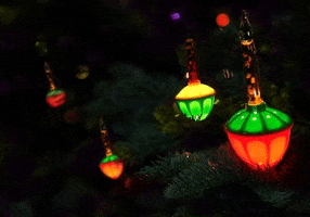 Christmas Lights GIFs - Find & Share on GIPHY