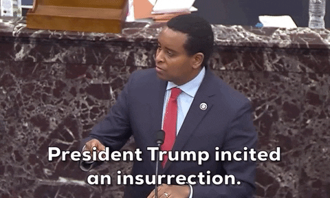 President Trump Incited An Insurrection GIFs - Get the best GIF on GIPHY