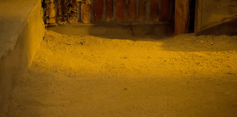 Marble GIF by NETFLIX - Find & Share on GIPHY