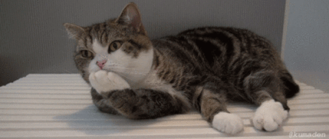 Poetas GIFs - Get the best GIF on GIPHY