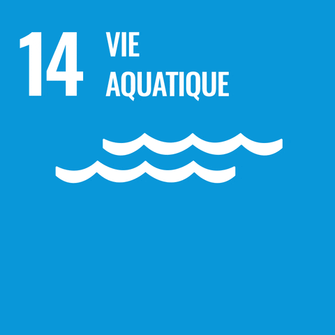 Yorku Sdg14 GIF by York University - Find & Share on GIPHY