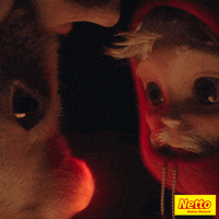 Heres how its going | Page 5 | Modern Muzzleloader Muzzleloading Forum