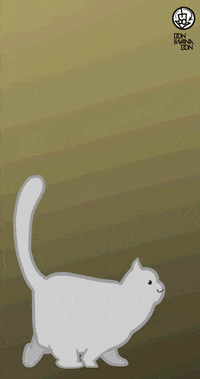 Cat Walking Gif