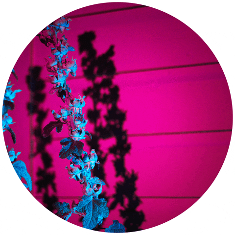 Over Saturated GIFs - Get the best GIF on GIPHY