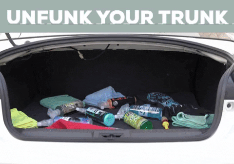 Trunk GIFs - Get the best GIF on GIPHY
