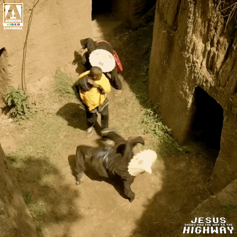 Mortal Kombat Round 1 GIFs - Get the best GIF on GIPHY