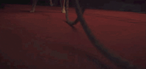 Rope Workout GIFs - Get the best GIF on GIPHY