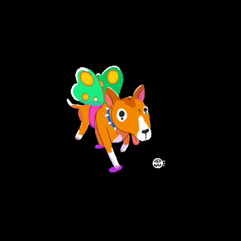 GIFS FOR IG GIFs on GIPHY - Be Animated