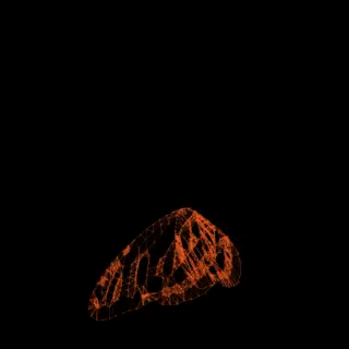 Kelebek GIFs - Get the best GIF on GIPHY